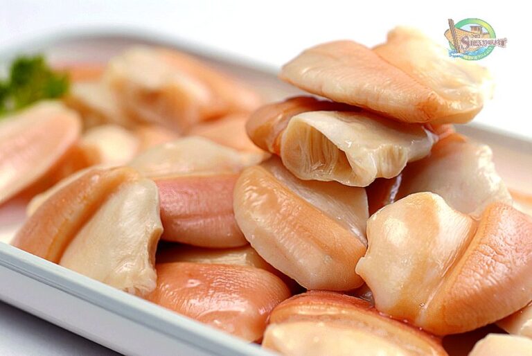 Pacific Clam | TheSteamboat Ketam Village